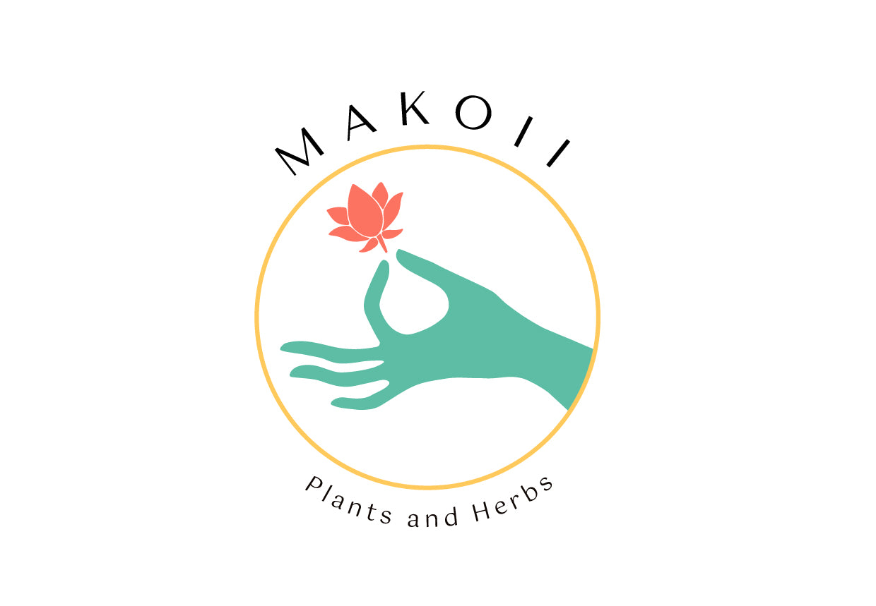 The Story of Makoii – Makoii Apothecary